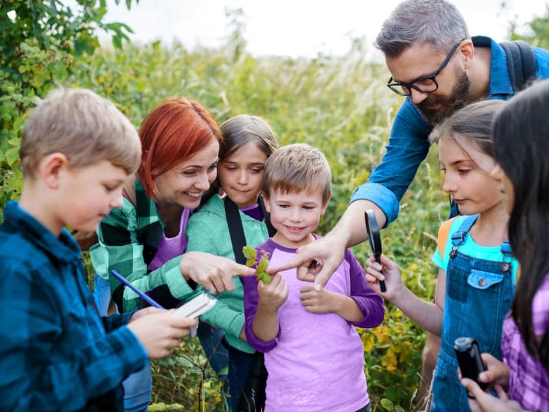 24 Best Ideas for Field Trips for Schools for All Ages - AhaSlides