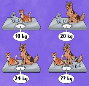 22 Logic Puzzle Questions To Challenge Your Mind! - AhaSlides