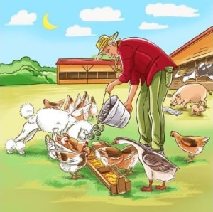 45 Lateral Thinking Puzzles That Reward Those Who Think Beyond the ...